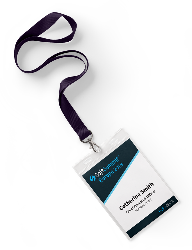 Flexera SoftSummit18 | joanne lesser | corporate designer