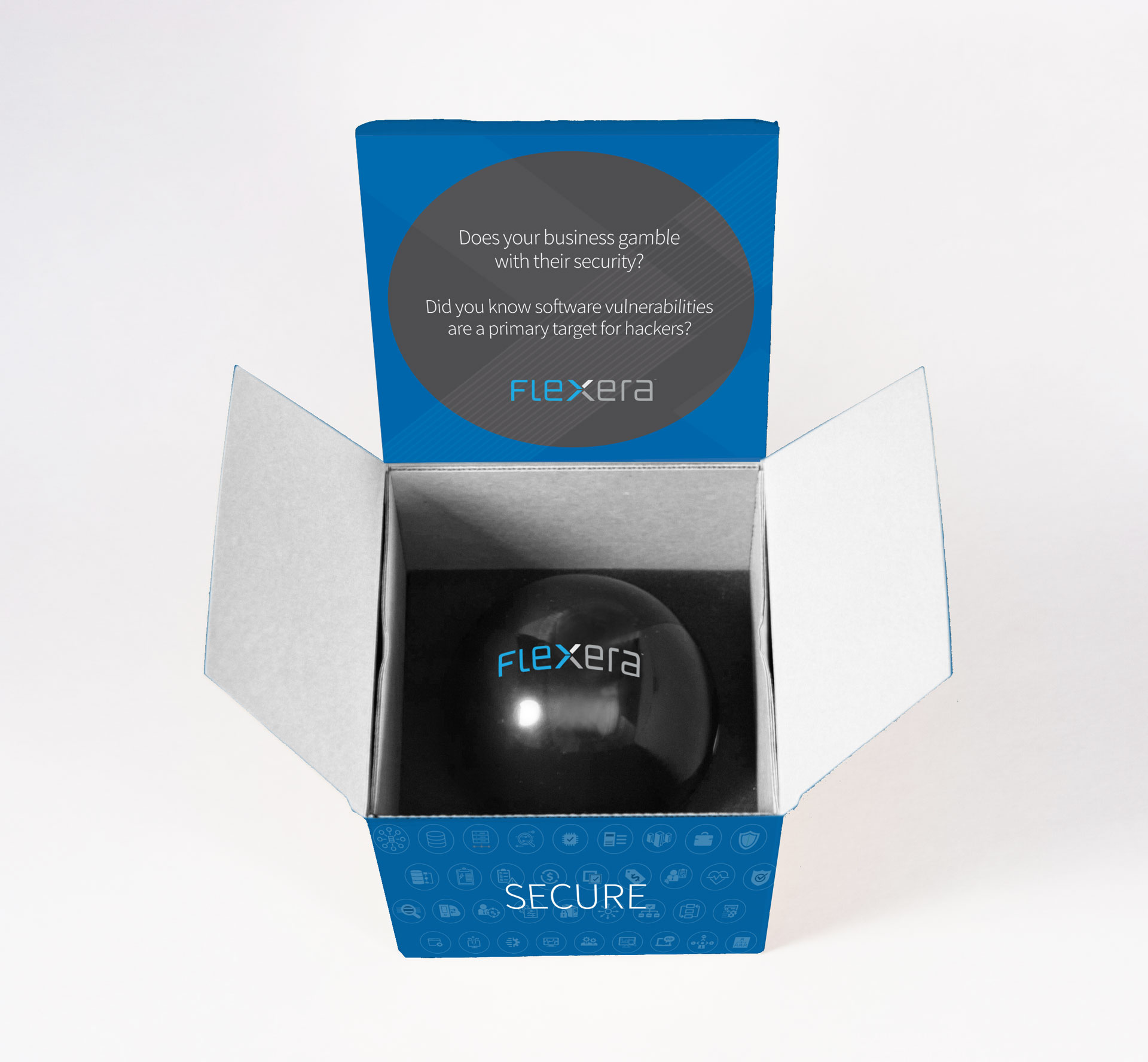 Flexera – Breach in a Box | joanne lesser | corporate designer